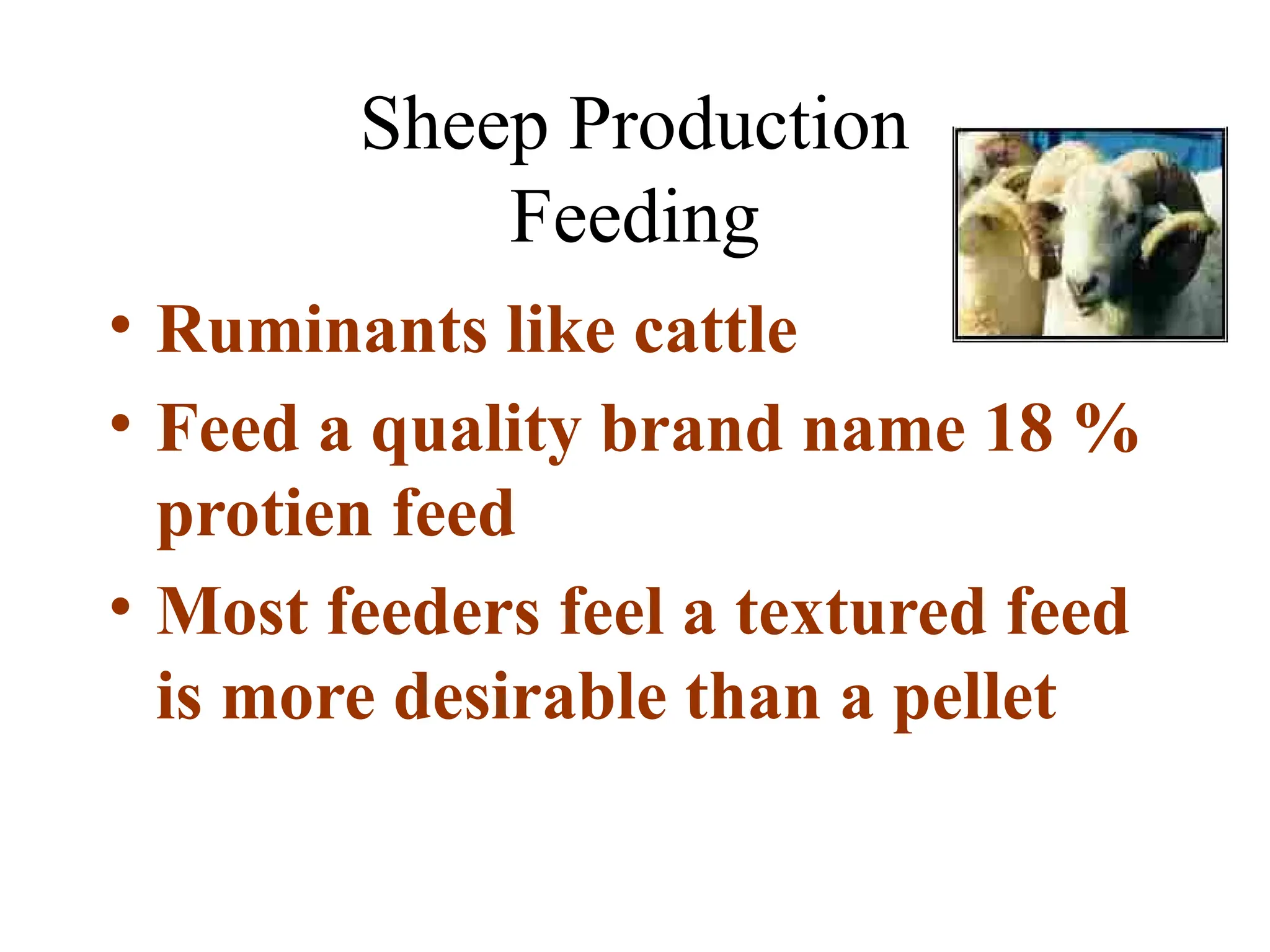 SHEEP animal science presentation for ag | PPTX