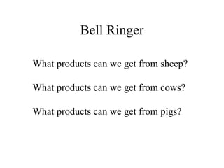 SHEEP animal science presentation for ag | PPT