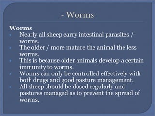 Sheep diseases | PPT