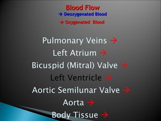 Sheep Heart Dissection | PPT