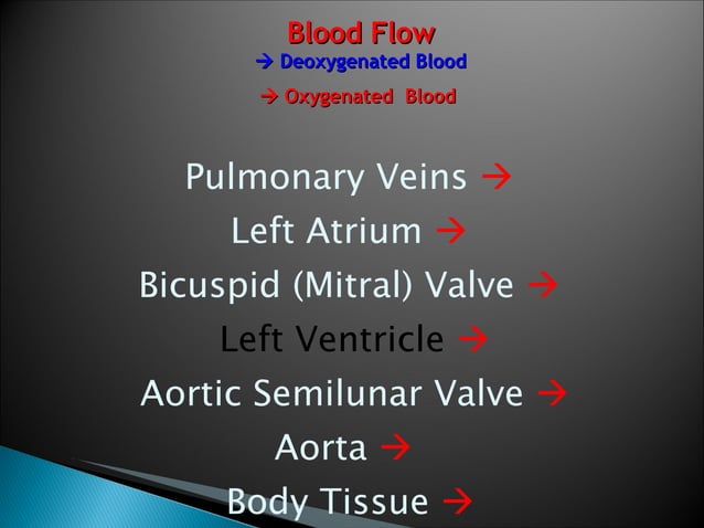 Sheep Heart Dissection | PPT | Heart and Cardiovascular Diseases ...