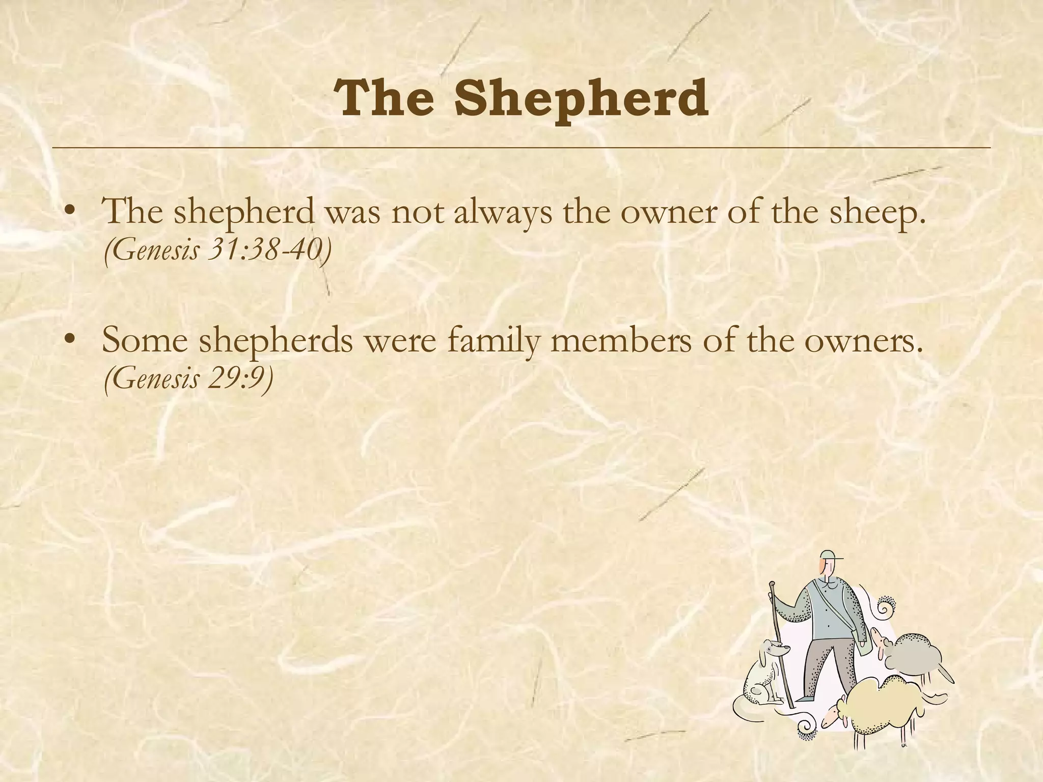 Sheep, Shepherds | PPT