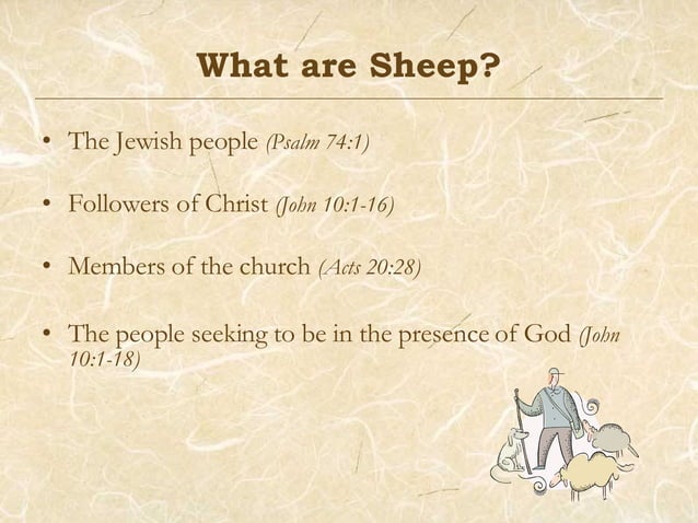 Sheep, Shepherds | PPT