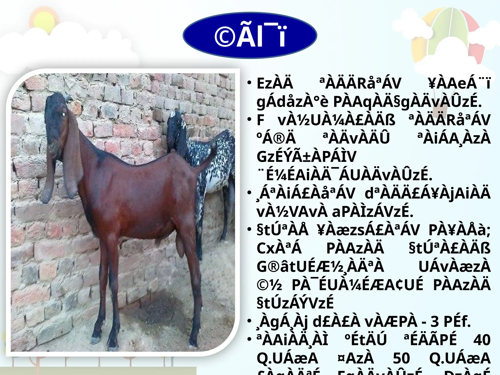 SHEEP AND GOAT BREEDS compiled by KVK, Mattikopp | PPTX