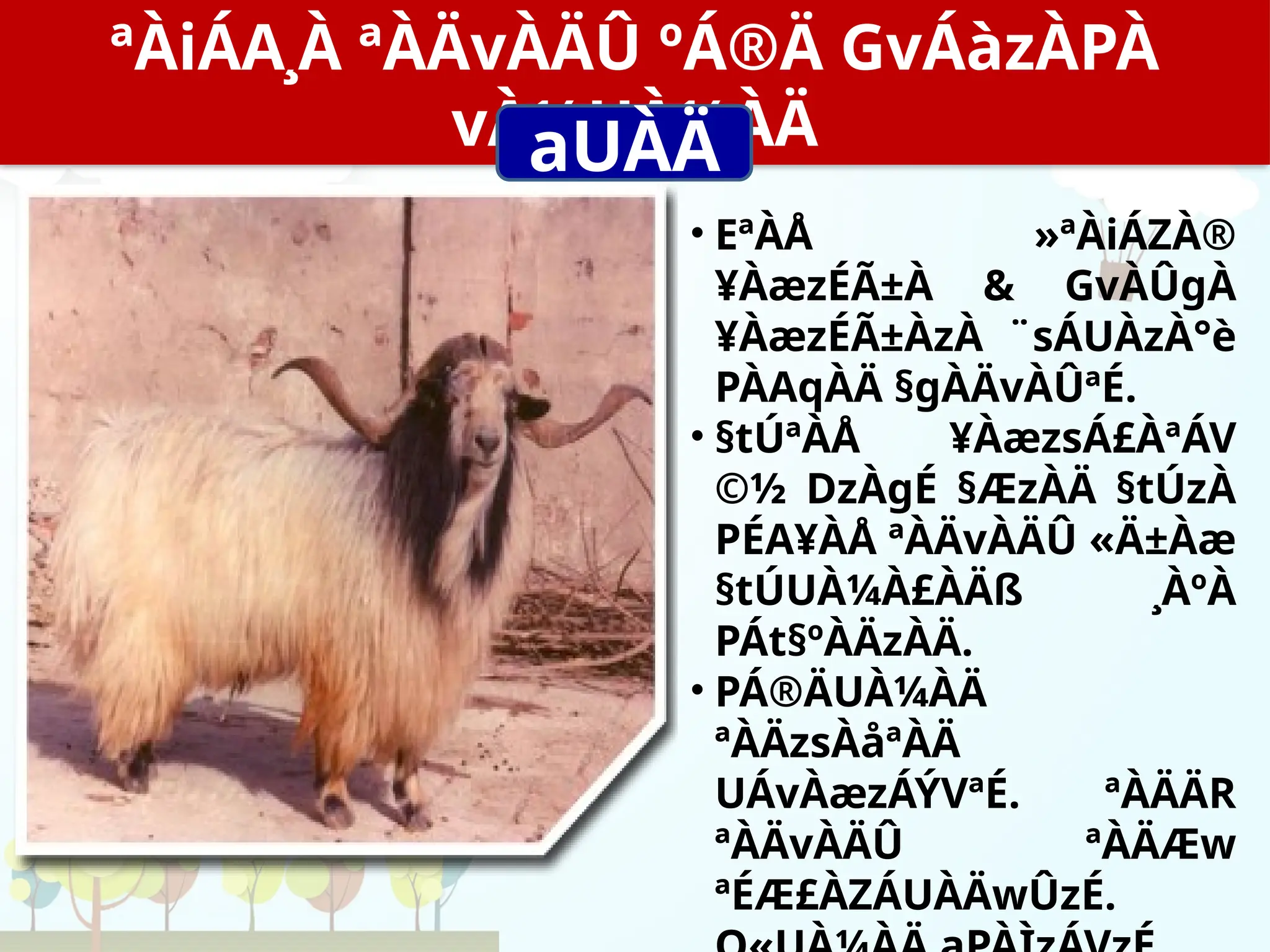 SHEEP AND GOAT BREEDS compiled by KVK, Mattikopp | PPTX