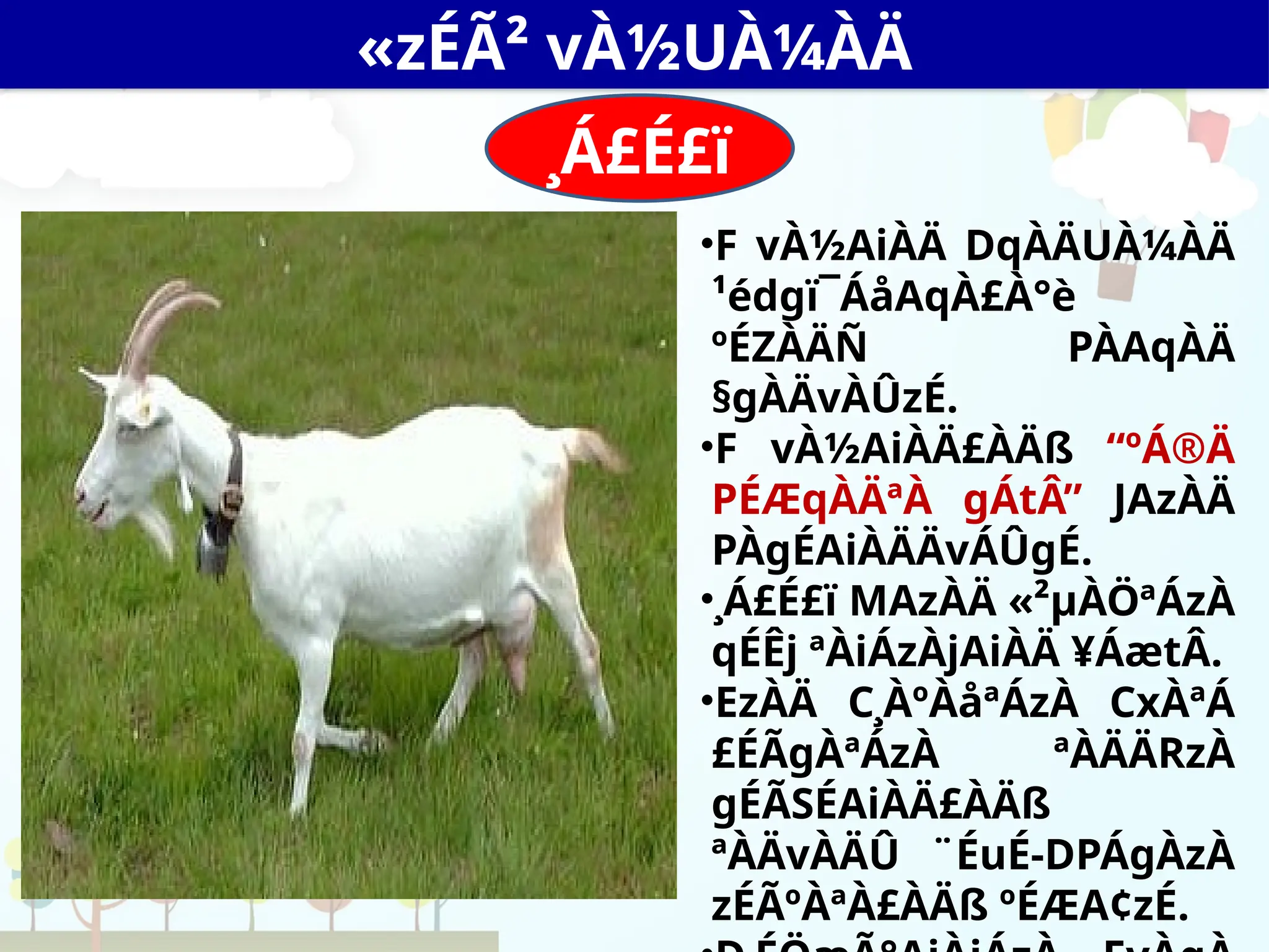 SHEEP AND GOAT BREEDS compiled by KVK, Mattikopp | PPTX