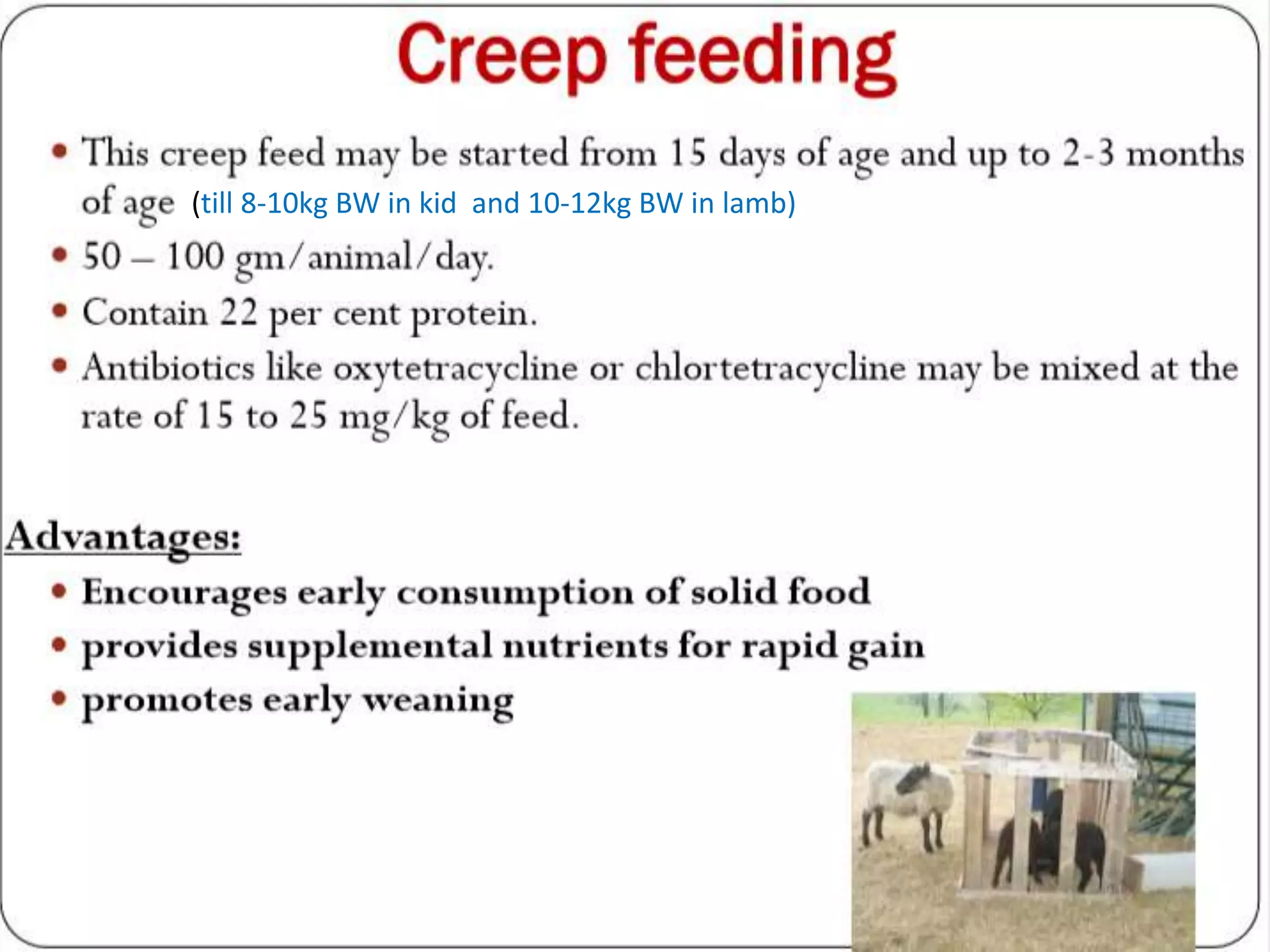 Sheep and Goat feeding .pptx | Veterinary Medicine | Pets