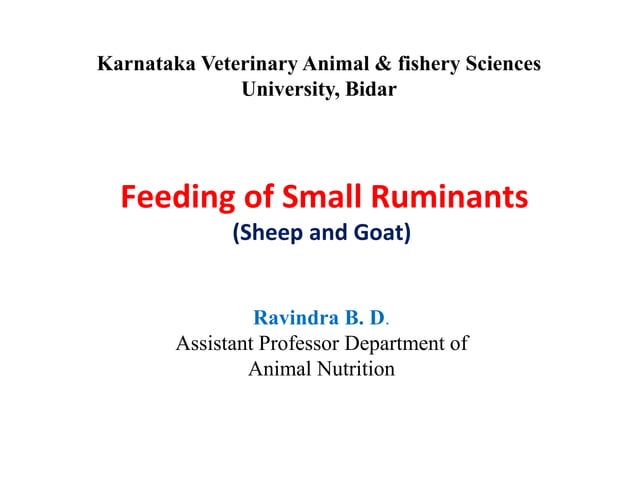 Sheep and Goat feeding .pptx | Veterinary Medicine | Pets