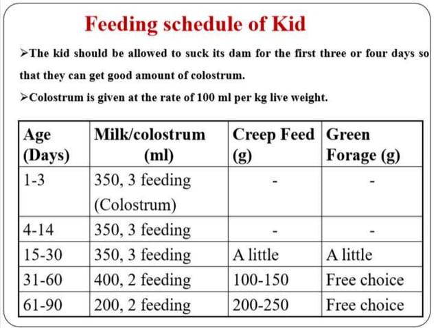 Sheep and Goat feeding .pptx | Veterinary Medicine | Pets