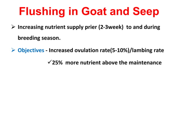 Sheep and Goat feeding .pptx | Veterinary Medicine | Pets