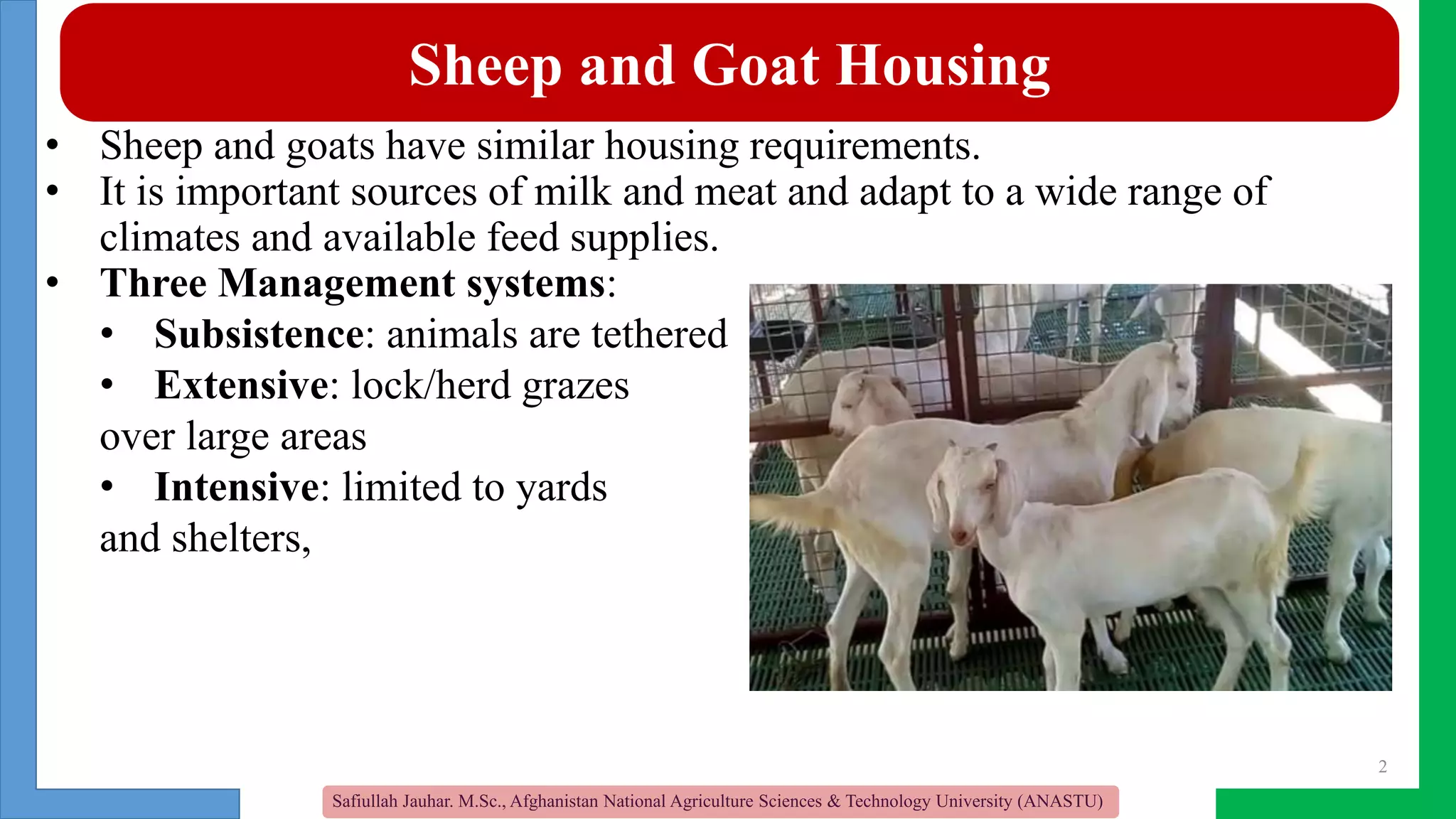 Sheep and goats housing management | PPTX