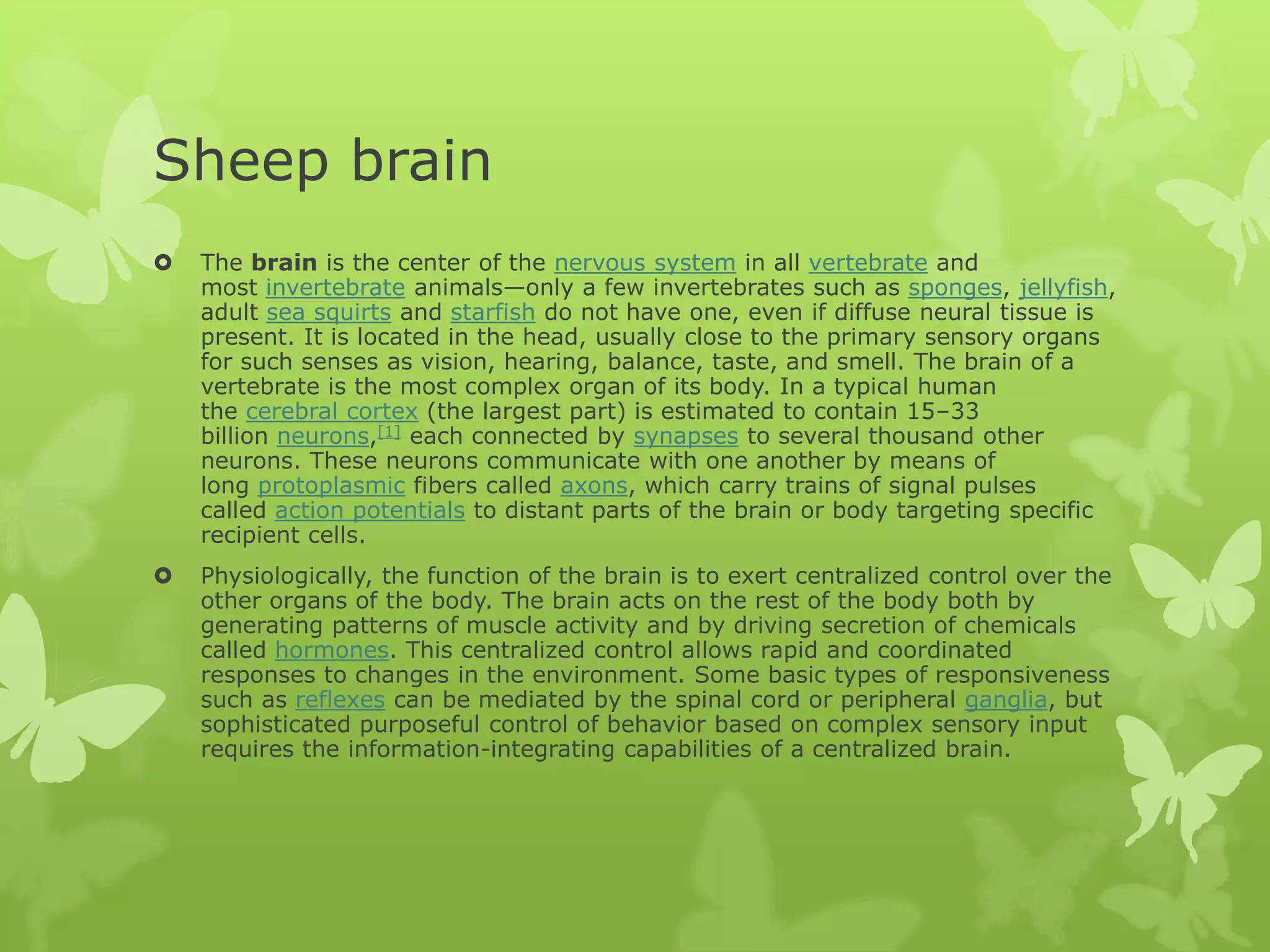 Sheep brain dissection and label | PPTX