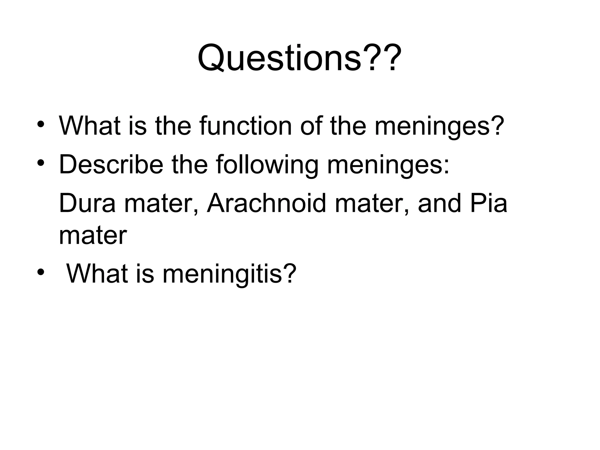 Sheep+brain+dissection | PPT