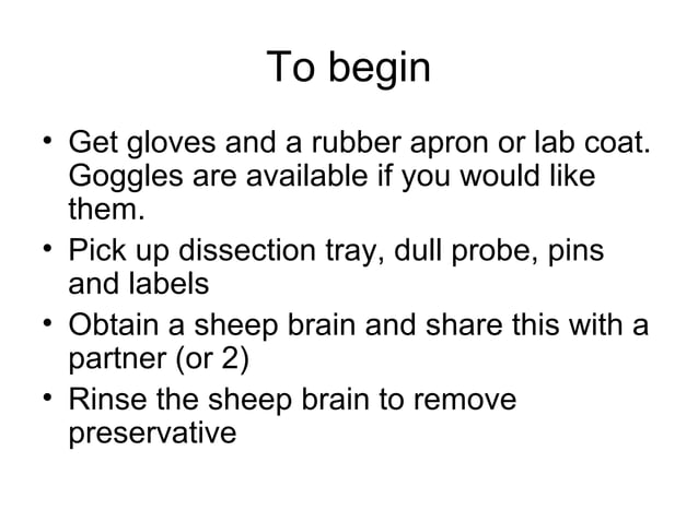 Sheep+brain+dissection | PPT