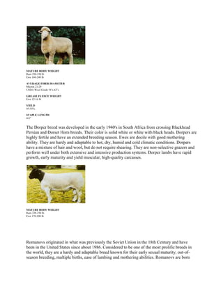Sheep breeds | DOCX