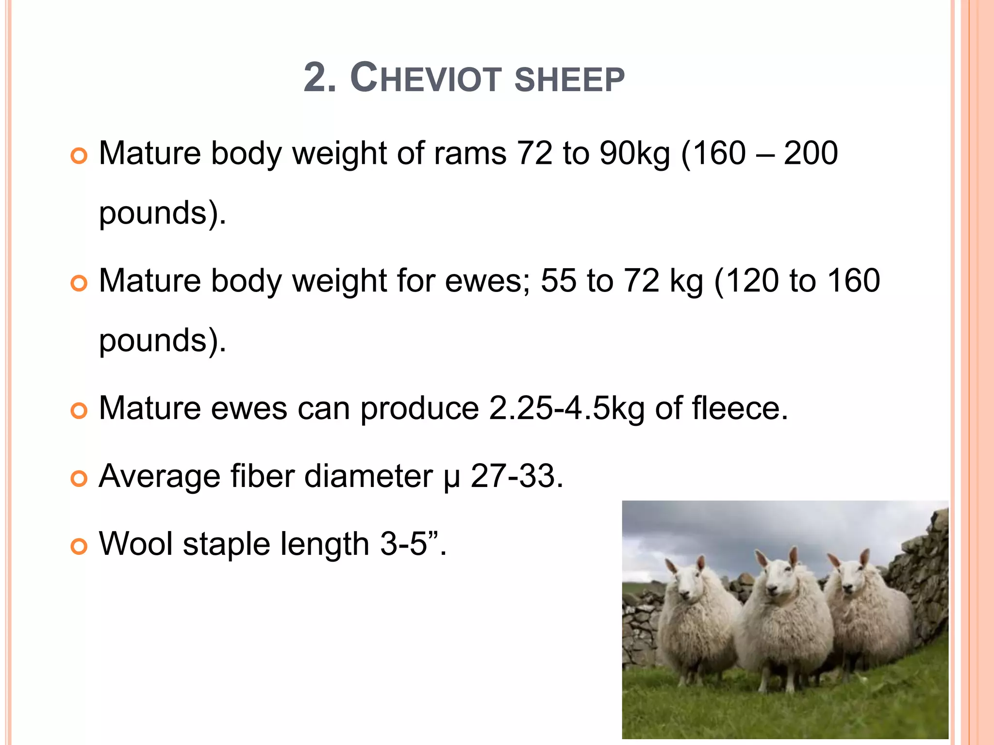 SHEEP BREEDS DETAILED.pptx