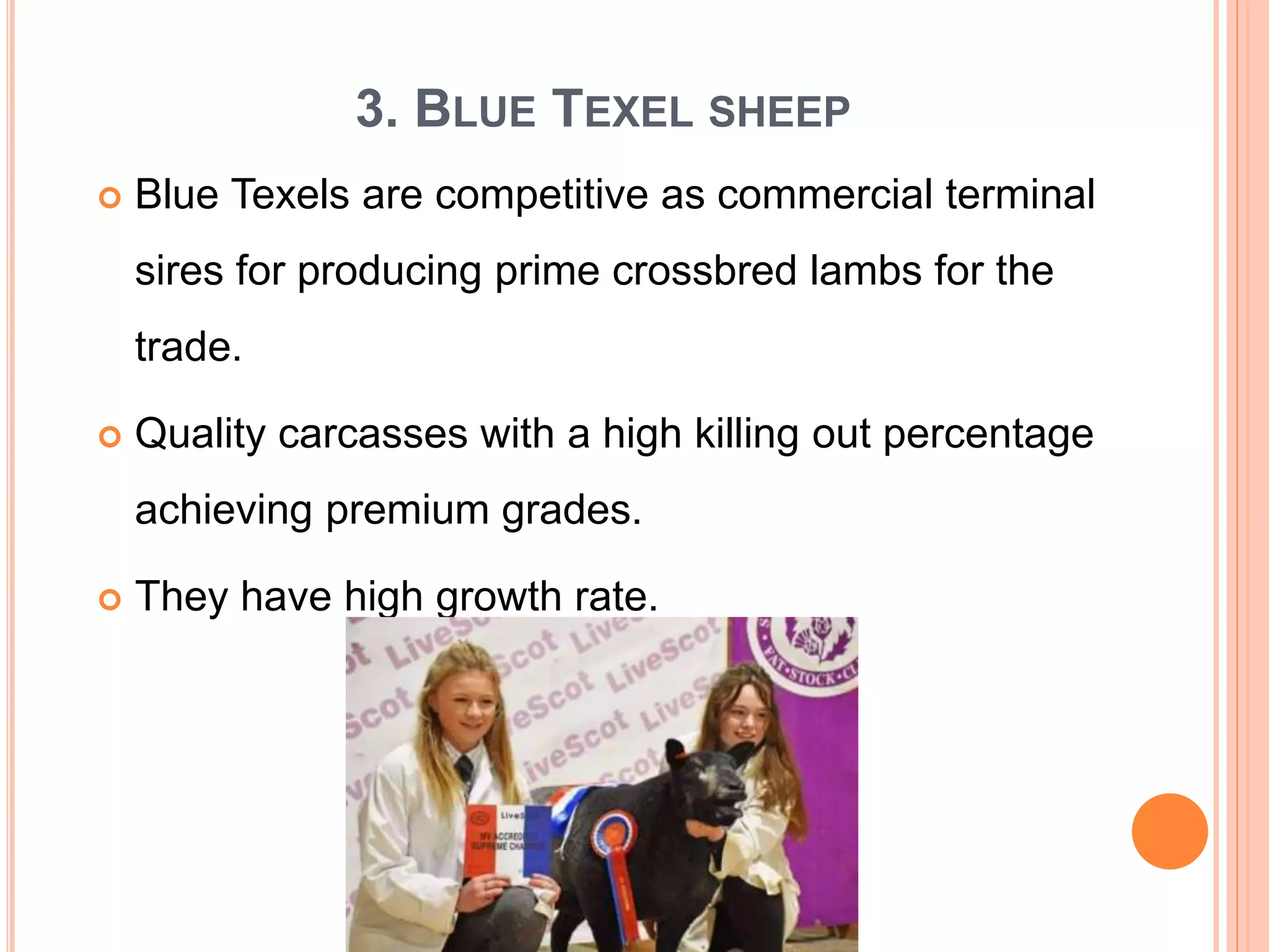SHEEP BREEDS DETAILED.pptx