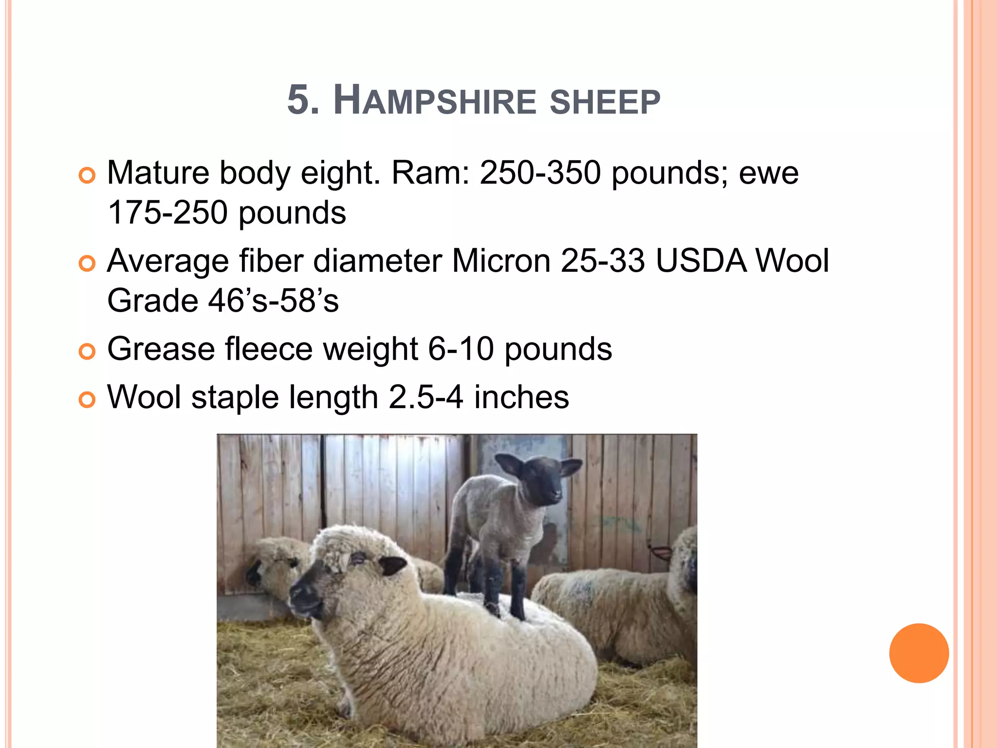 SHEEP BREEDS DETAILED.pptx