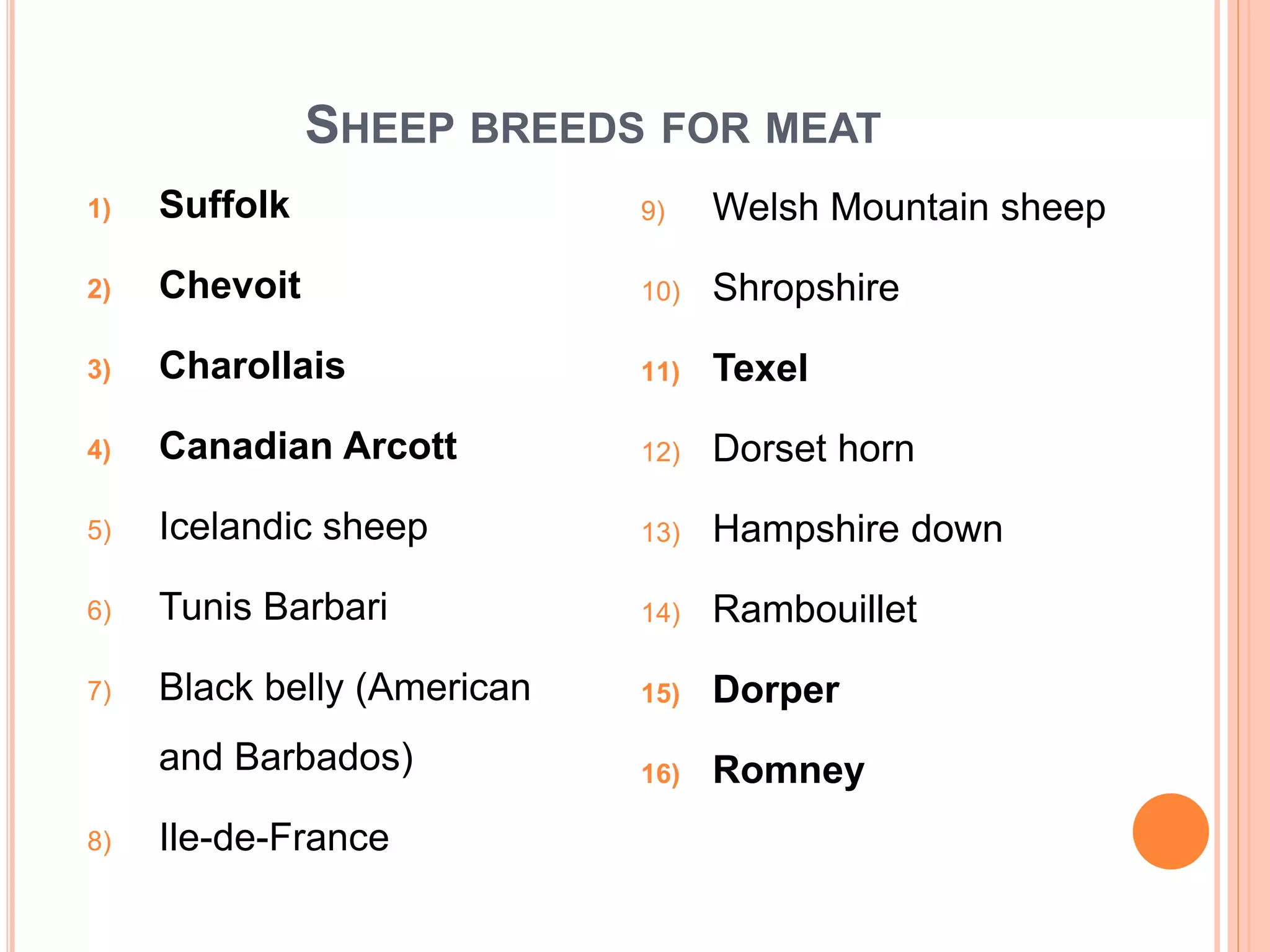 SHEEP BREEDS DETAILED.pptx