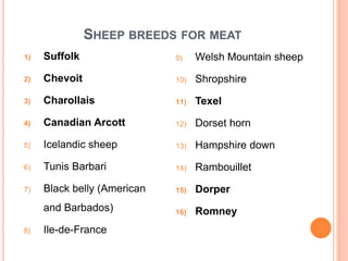 SHEEP BREEDS DETAILED.pptx