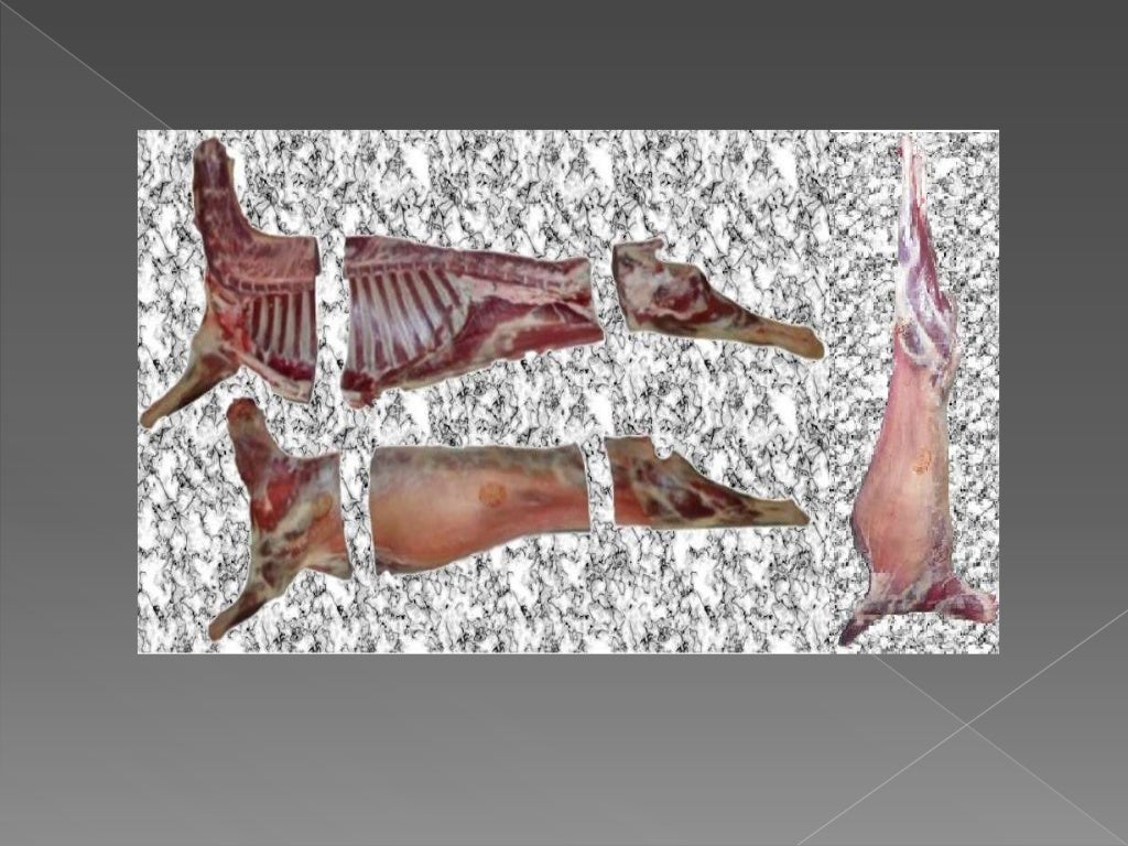 Sheep carcass1