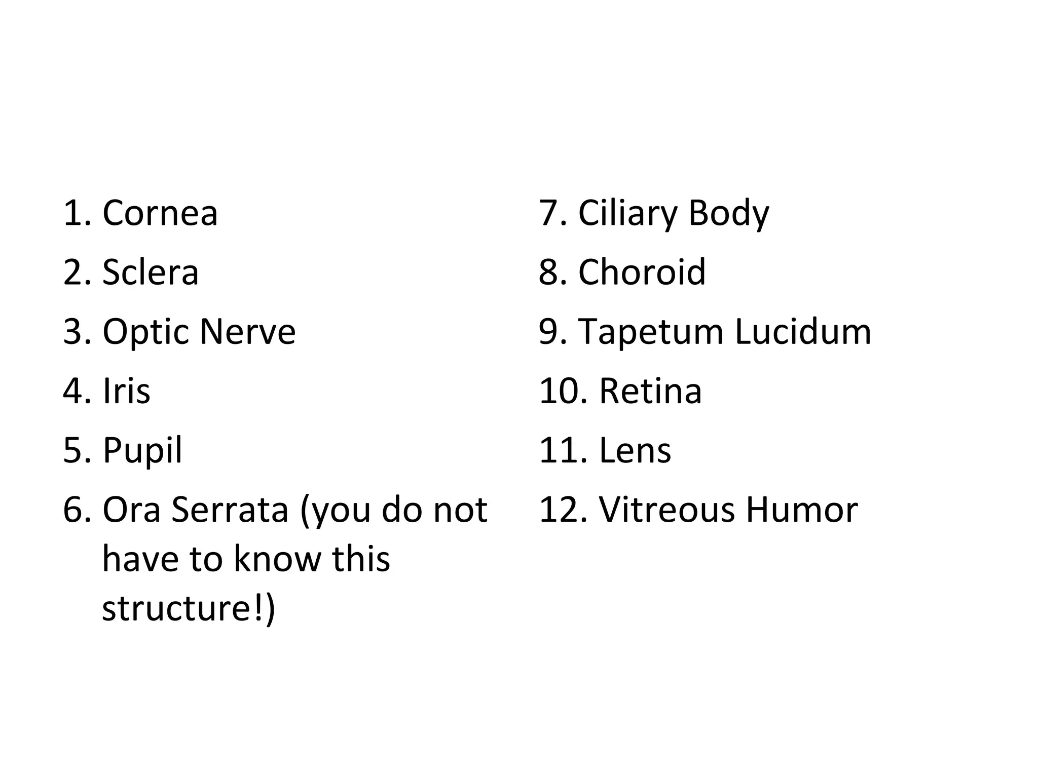 Sheep eye dissection | PPT