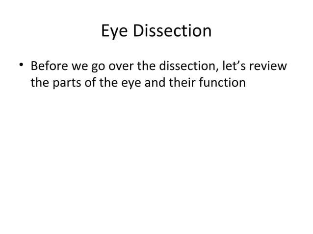 Sheep eye dissection | PPT | Eye and Vision Conditions | Diseases and ...