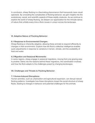 Blog: Sheep Flocking and Huacaya Alpaca: | PDF