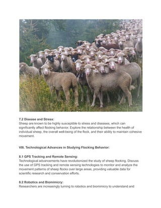Blog: Sheep Flocking and Huacaya Alpaca: | PDF