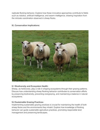 Blog: Sheep Flocking and Huacaya Alpaca: | PDF