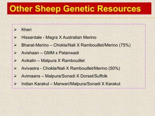 Sheep genetic resources of India | PPT