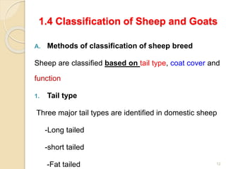 sheep goat 1.pptx department @&$ 💚?!123 | PPTX