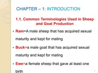 sheep goat 1.pptx department @&$ 💚?!123 | PPT