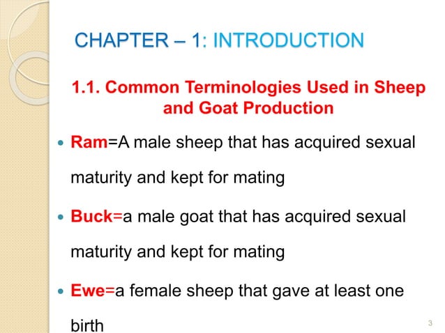 sheep goat 1.pptx department @&$ 💚?!123 | PPT