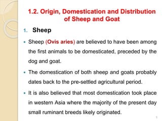 Sheep Goat 1 Pptx Department рџ љ 123 Pptx