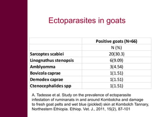 Selected diseases of sheep and goat in the Ethiopian value chain | PDF