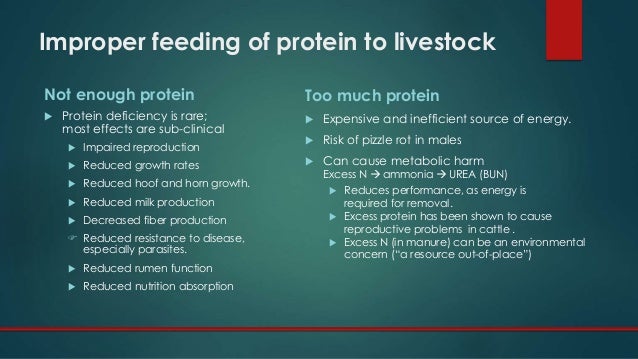 Sheep & Goat Nutriton