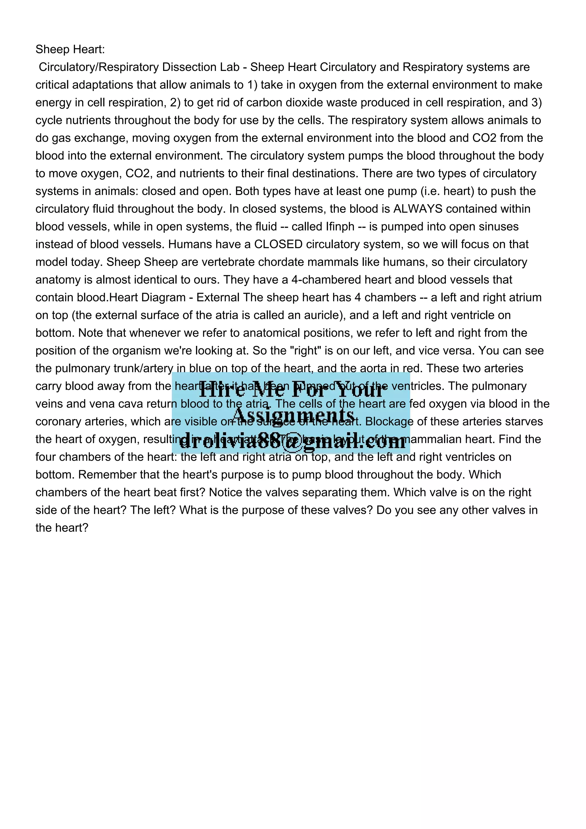 Sheep Heart CirculatoryRespiratory Dissection Lab Sheep .pdf