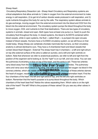 Sheep Heart CirculatoryRespiratory Dissection Lab Sheep .pdf