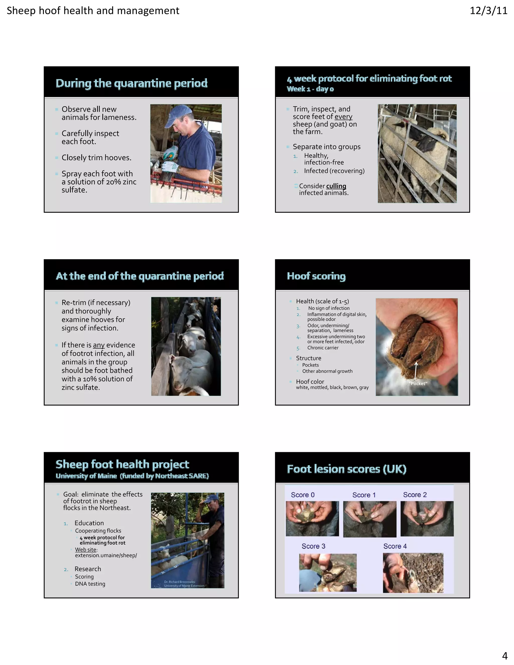 Sheep hoof health | PDF