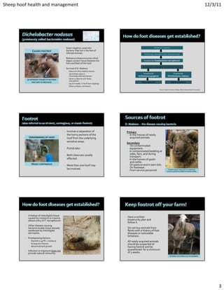 Sheep hoof health | PDF