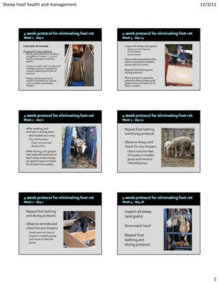 Sheep hoof health | PDF