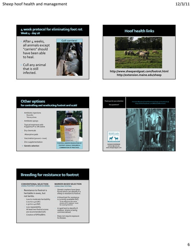Sheep hoof health | PDF