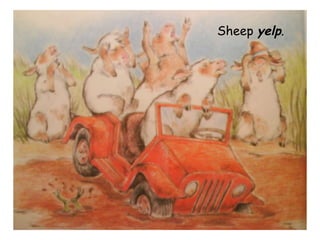 Sheep in jeep | PPT