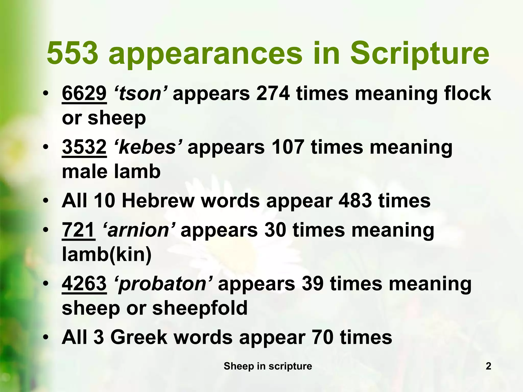 Sheep in scripture | PPTX