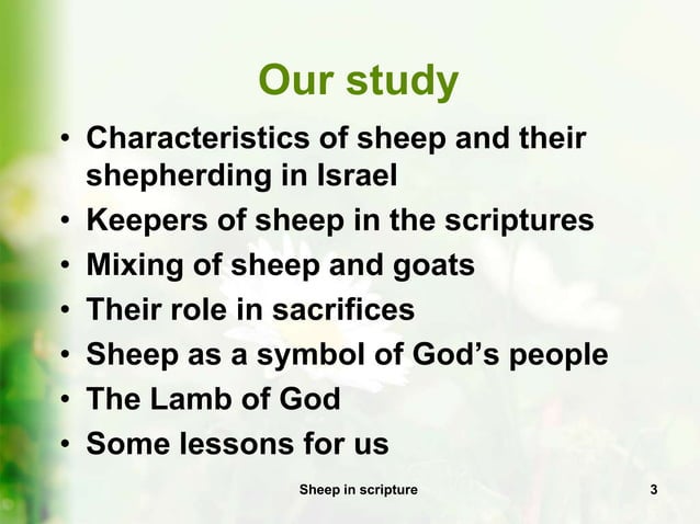 Sheep in scripture | PPT
