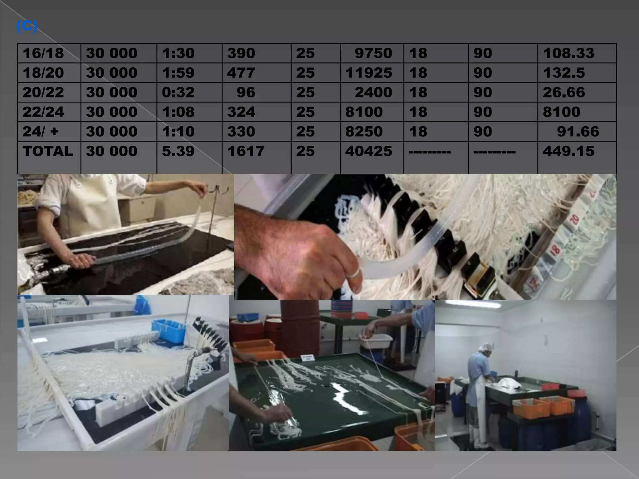 Sheep intestine 01 | PPSX