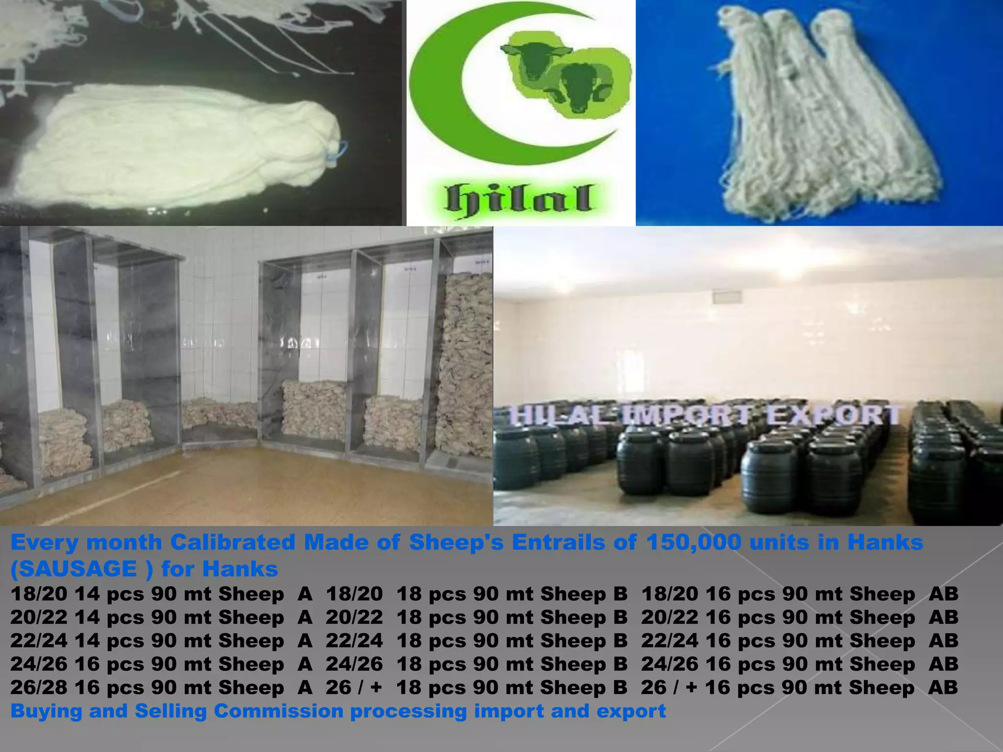 Sheep intestine 01 | PPSX