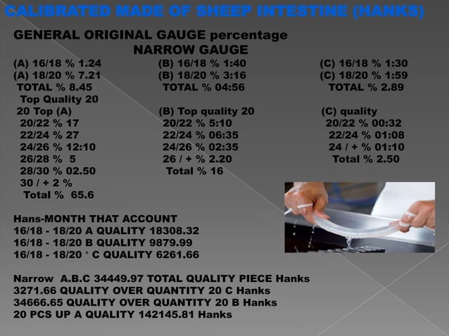 Sheep intestine 01 | PPT
