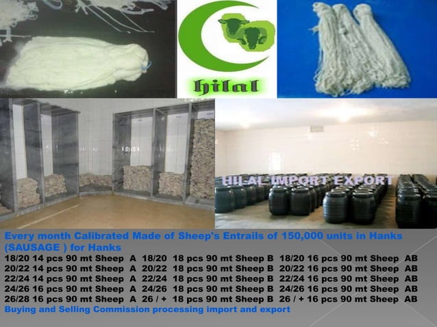 Sheep intestine 01 | PPT